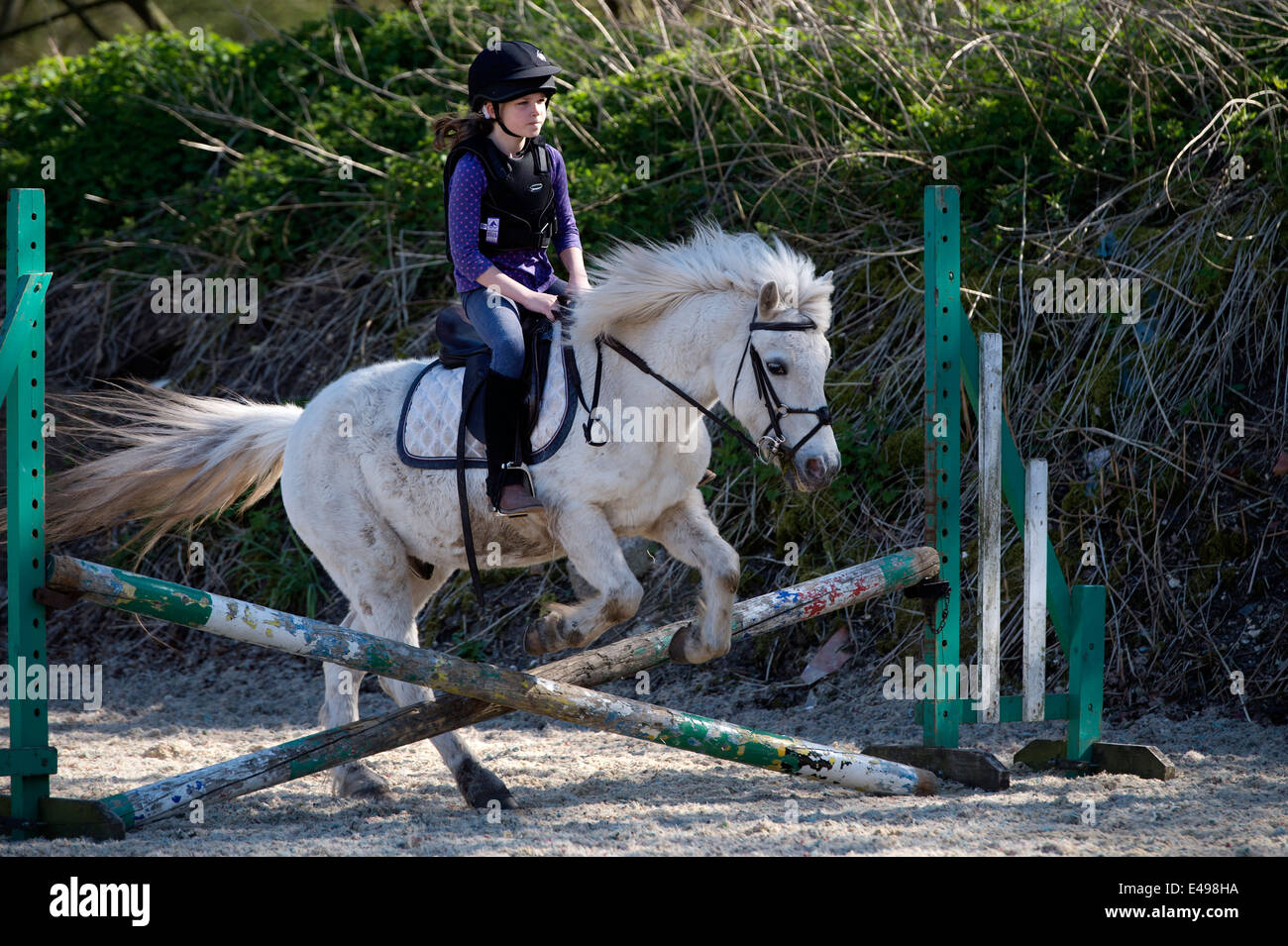 A young girl jumps a fence riding a pony in a stable yard in Hampshire ...