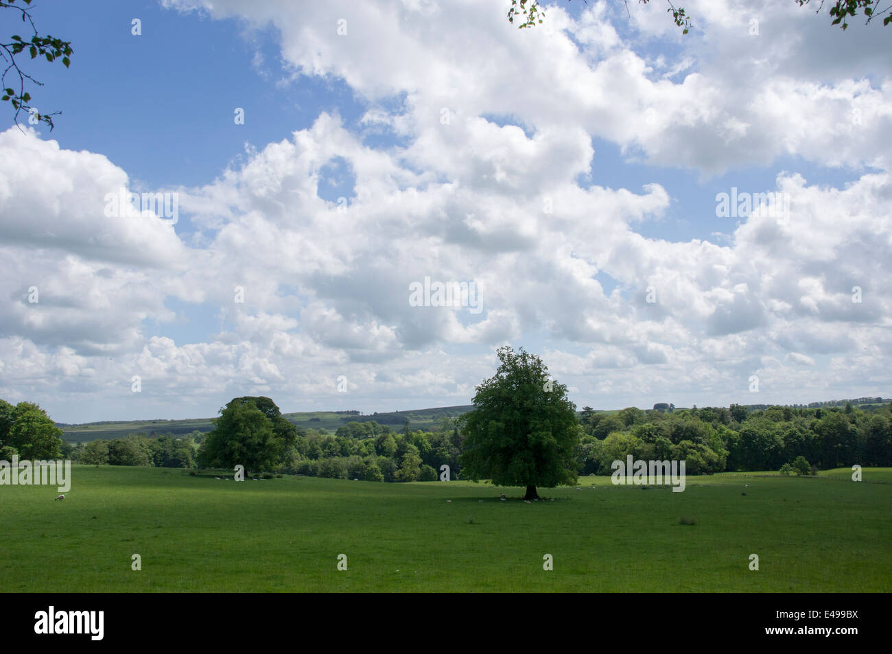 Wallington hall hi-res stock photography and images - Alamy