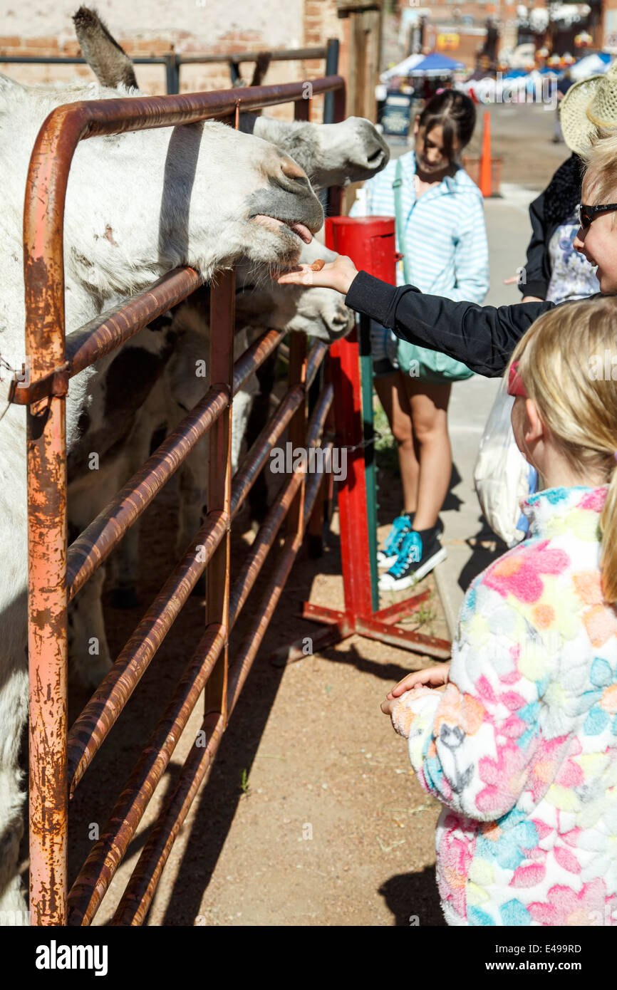 Cripple Creek Colorado Donkeys – BYOFB