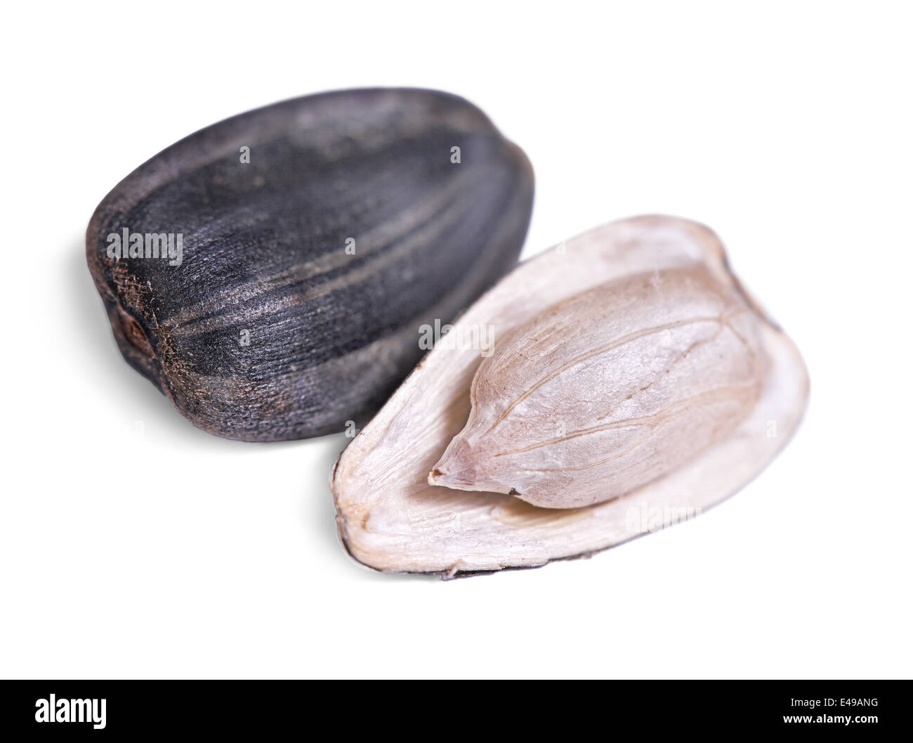 Sunflower seeds macro on a white background, isolated Stock Photo - Alamy