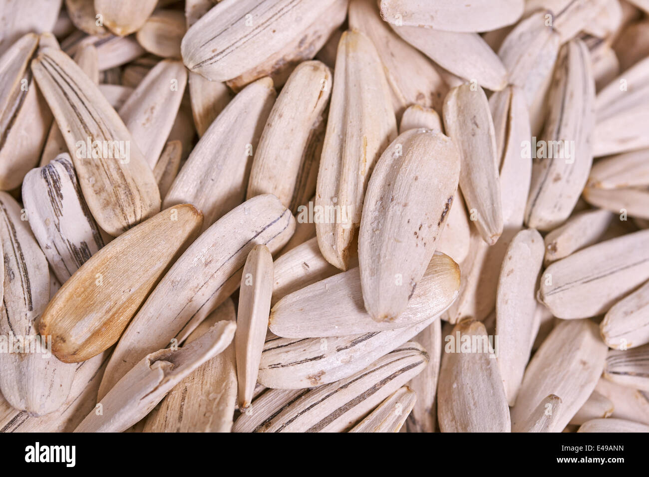 Sunflower seeds background, macro Stock Photo - Alamy