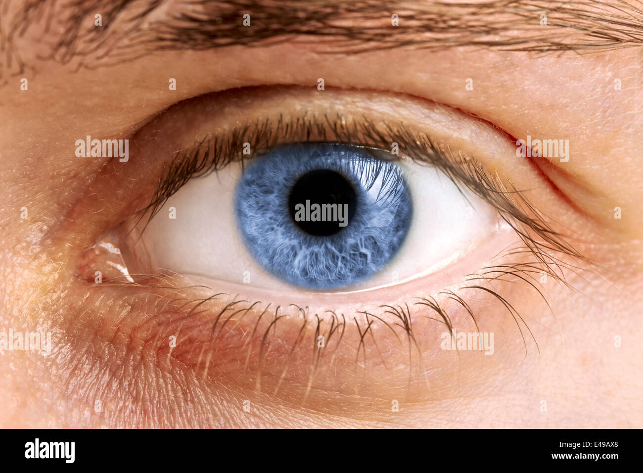 Closeup male blue eye man hi-res stock photography and images - Alamy