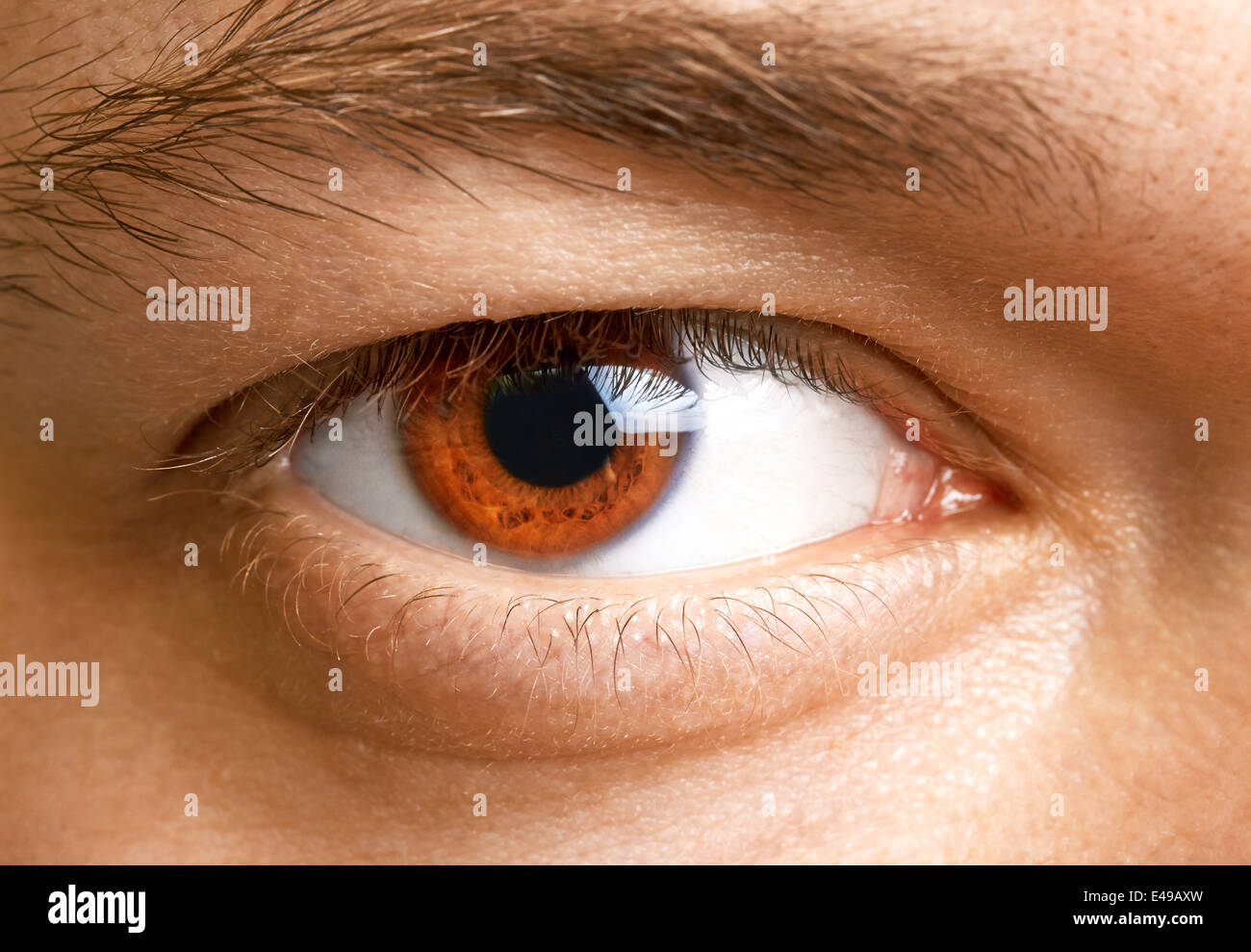 Man eyes close up hi-res stock photography and images - Alamy