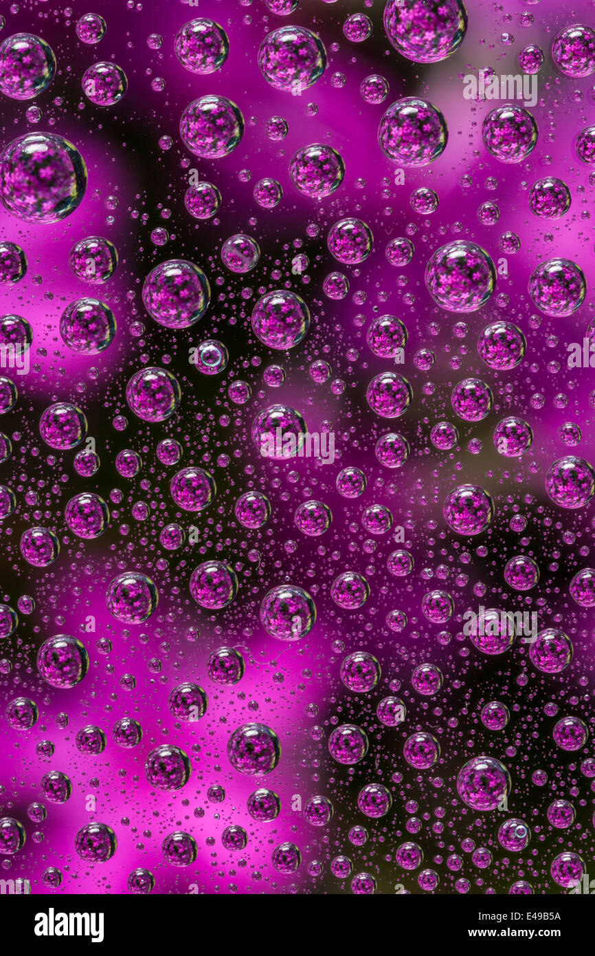 close up of multiple water drops of all sizes with a garden of pink ...