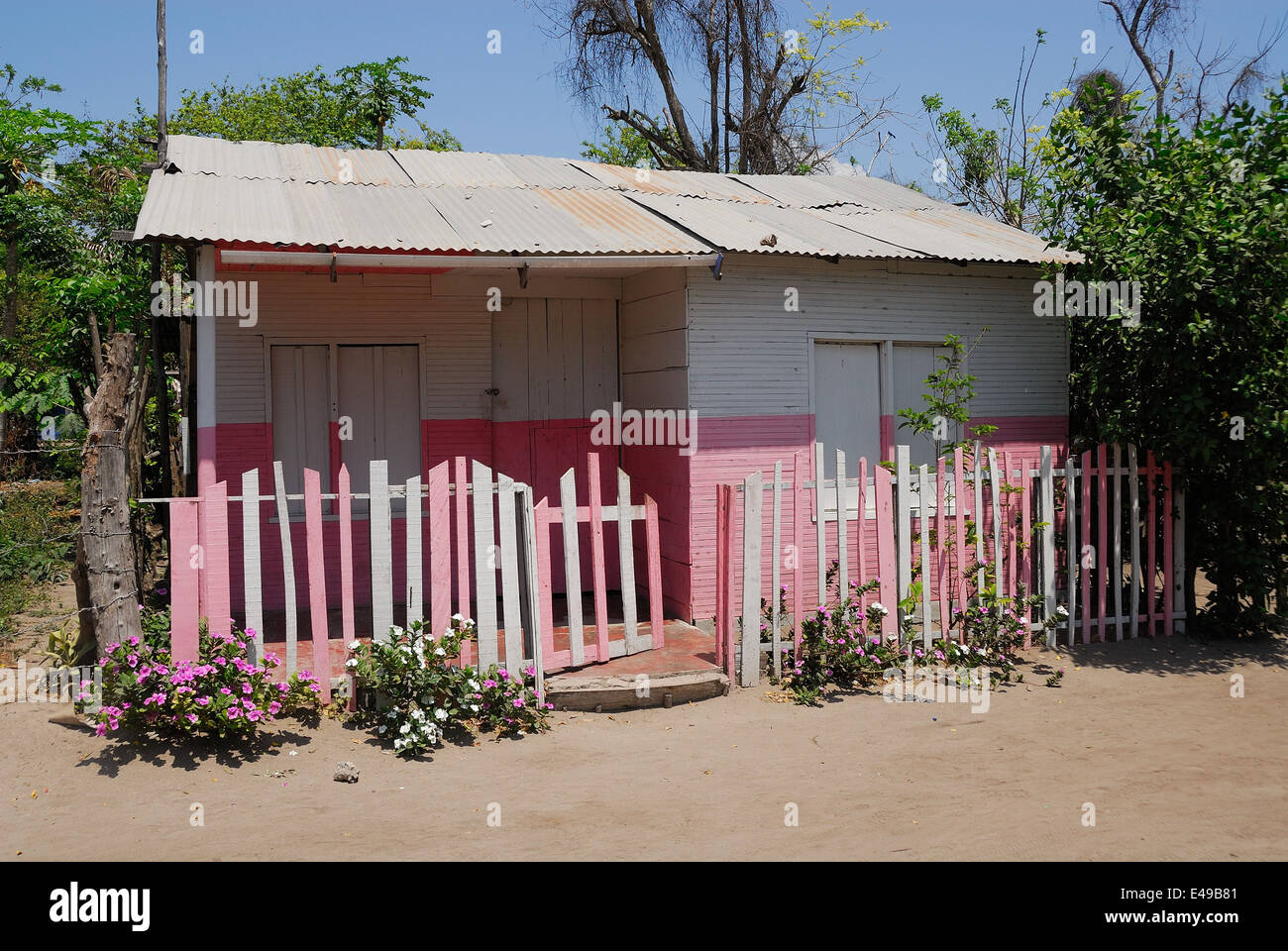 Caribbean Homes Colors Style