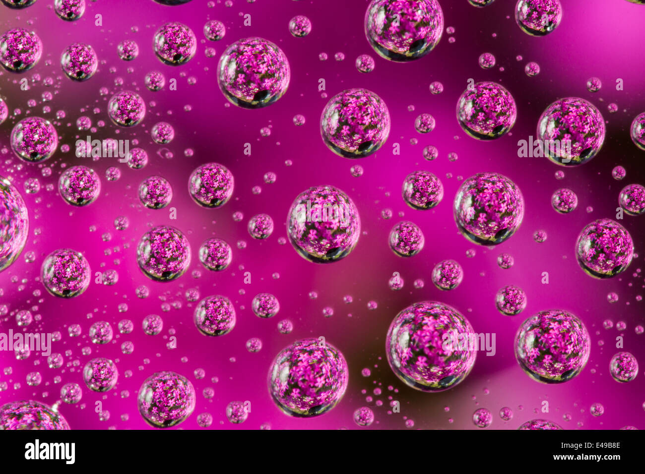 close up of multiple water drops of all sizes with a garden of pink ...