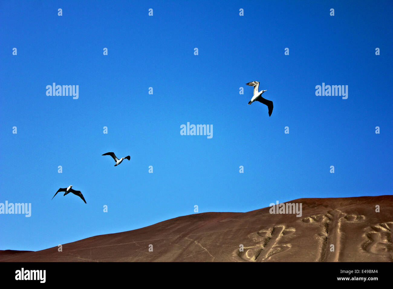 El Candelabro. Ballestas Islands, Paracas, Peru Stock Photo - Alamy