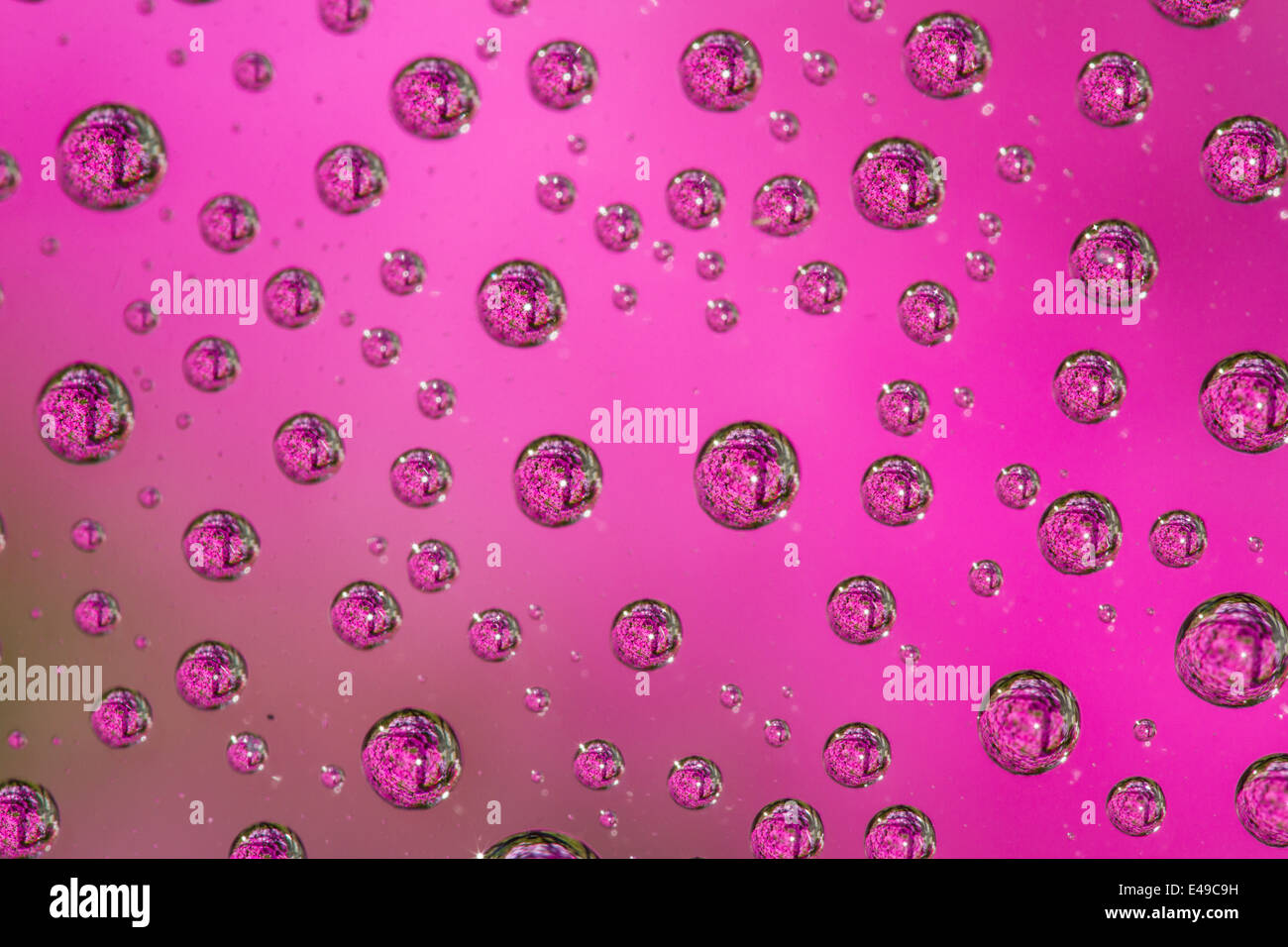close up of multiple water drops of all sizes with a garden of pink ...