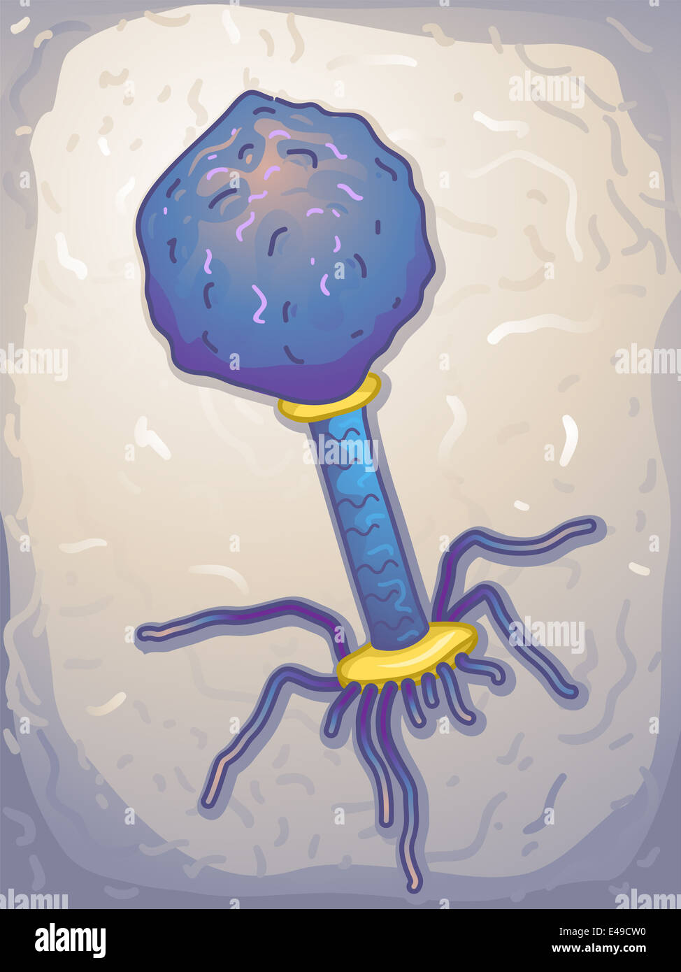 Illustration Demonstrating the Complex Structure of a Virus Stock Photo ...