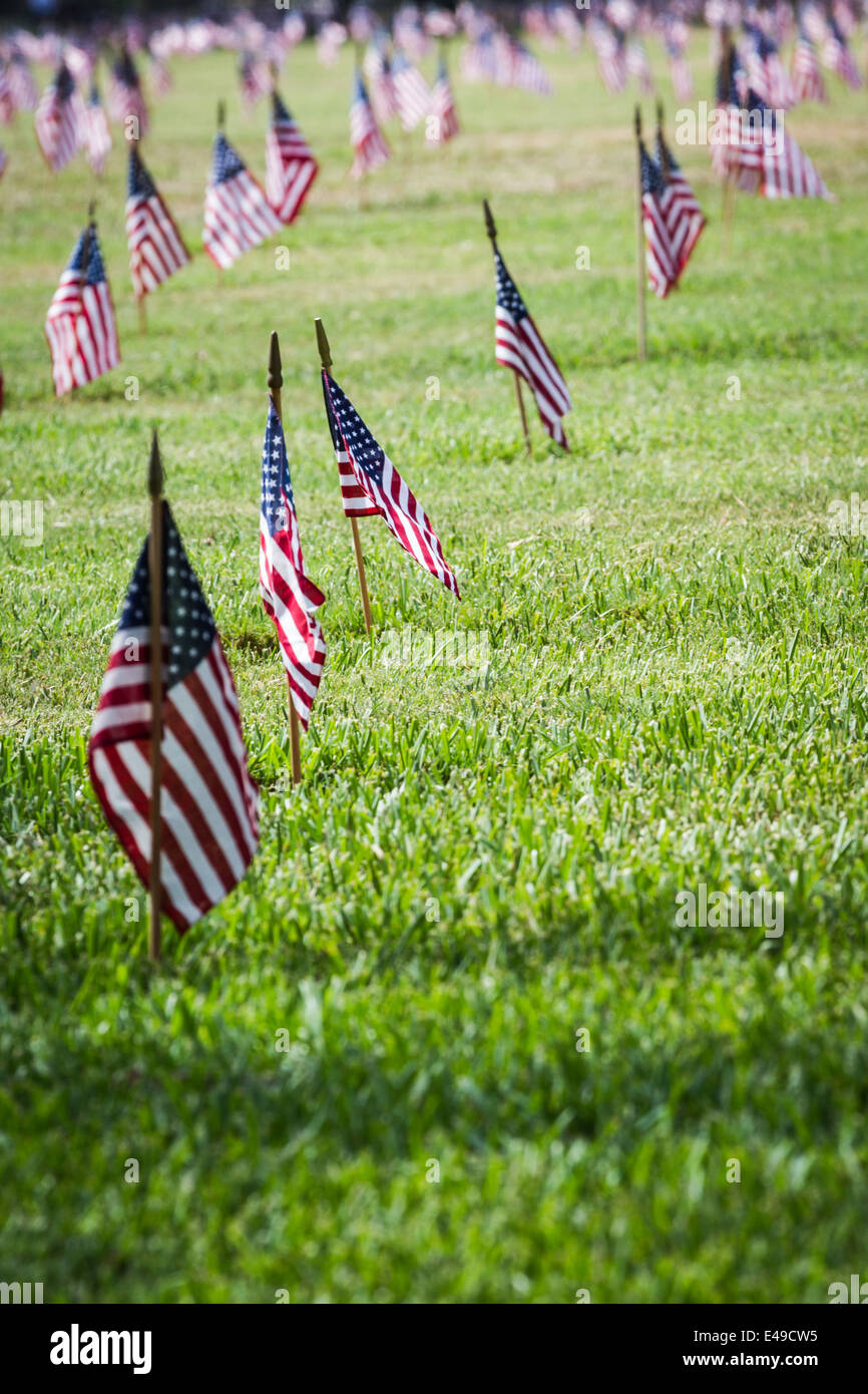 Honoring florida veterans hi-res stock photography and images - Alamy