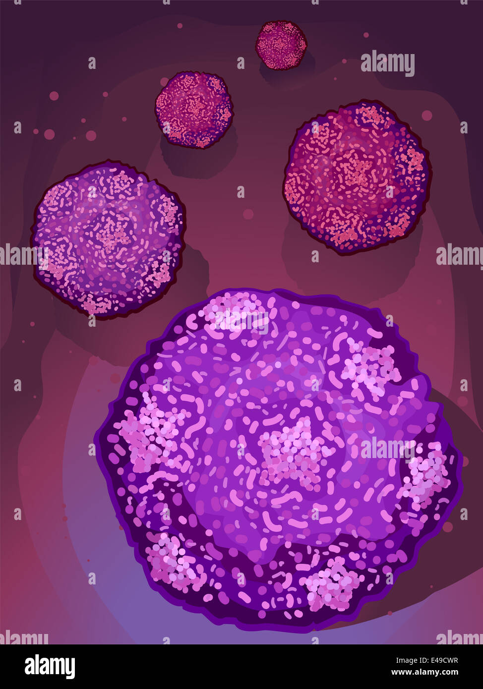 Illustration Featuring Rhinoviruses Stock Photo - Alamy
