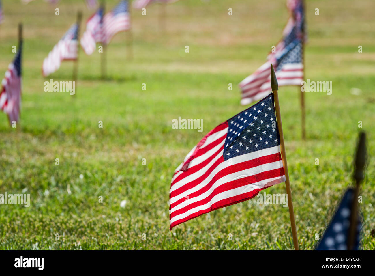 American flags planted in the ground hi-res stock photography and ...