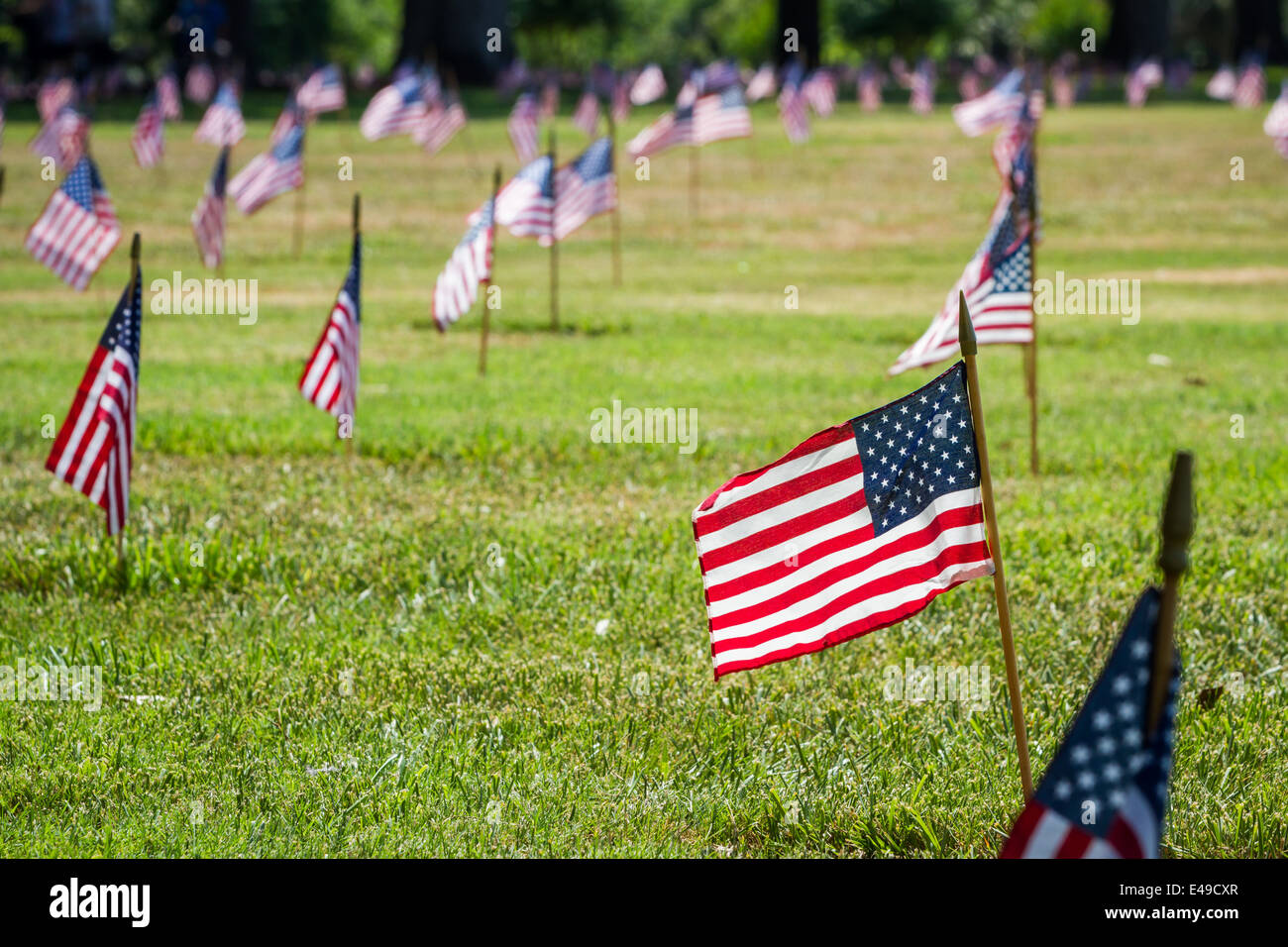 rows of flags on each grave of a Veterans Cemetery in Florida for ...