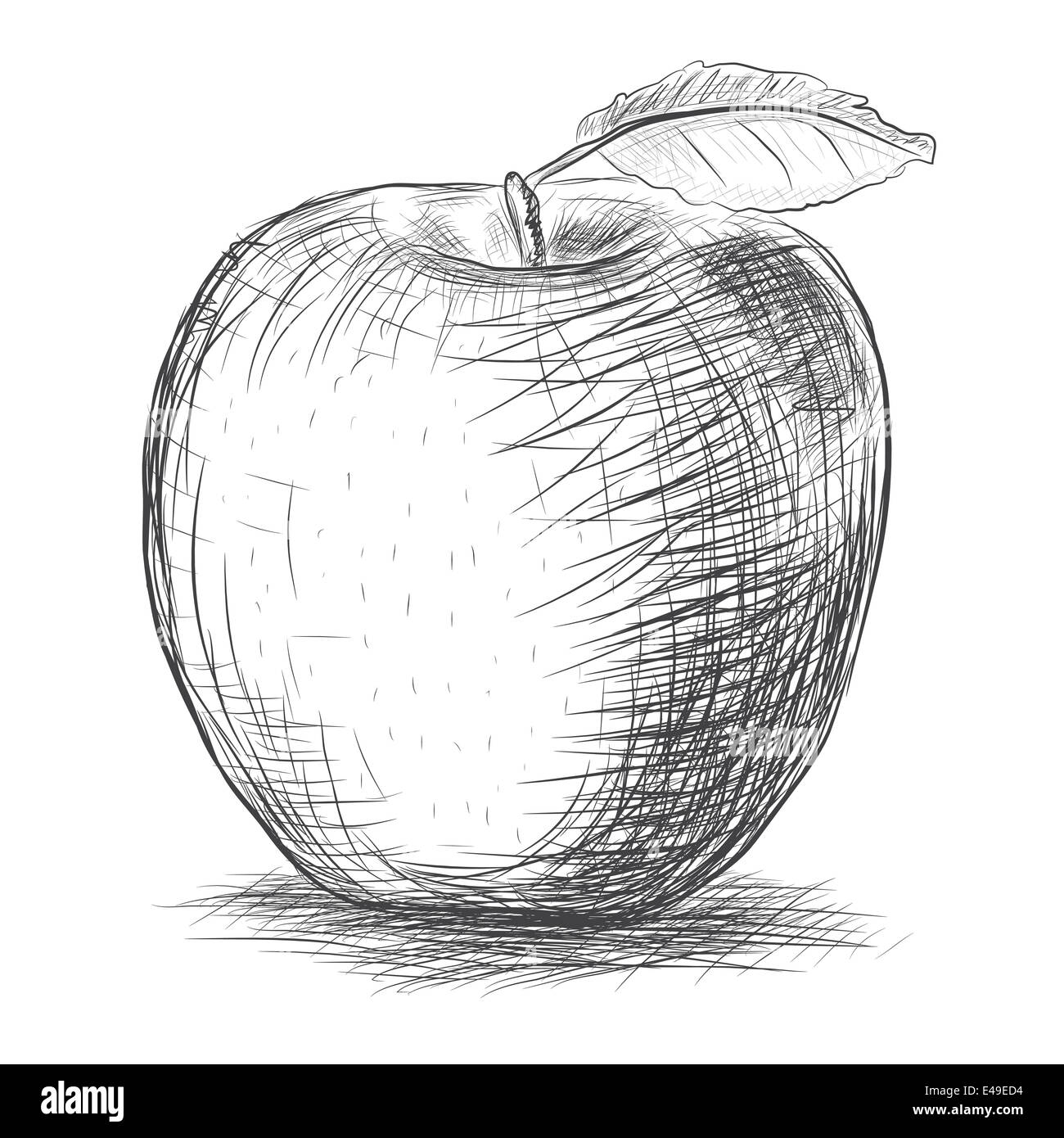 Hand drawn sketch of apple . Rasterized Copy Stock Photo - Alamy