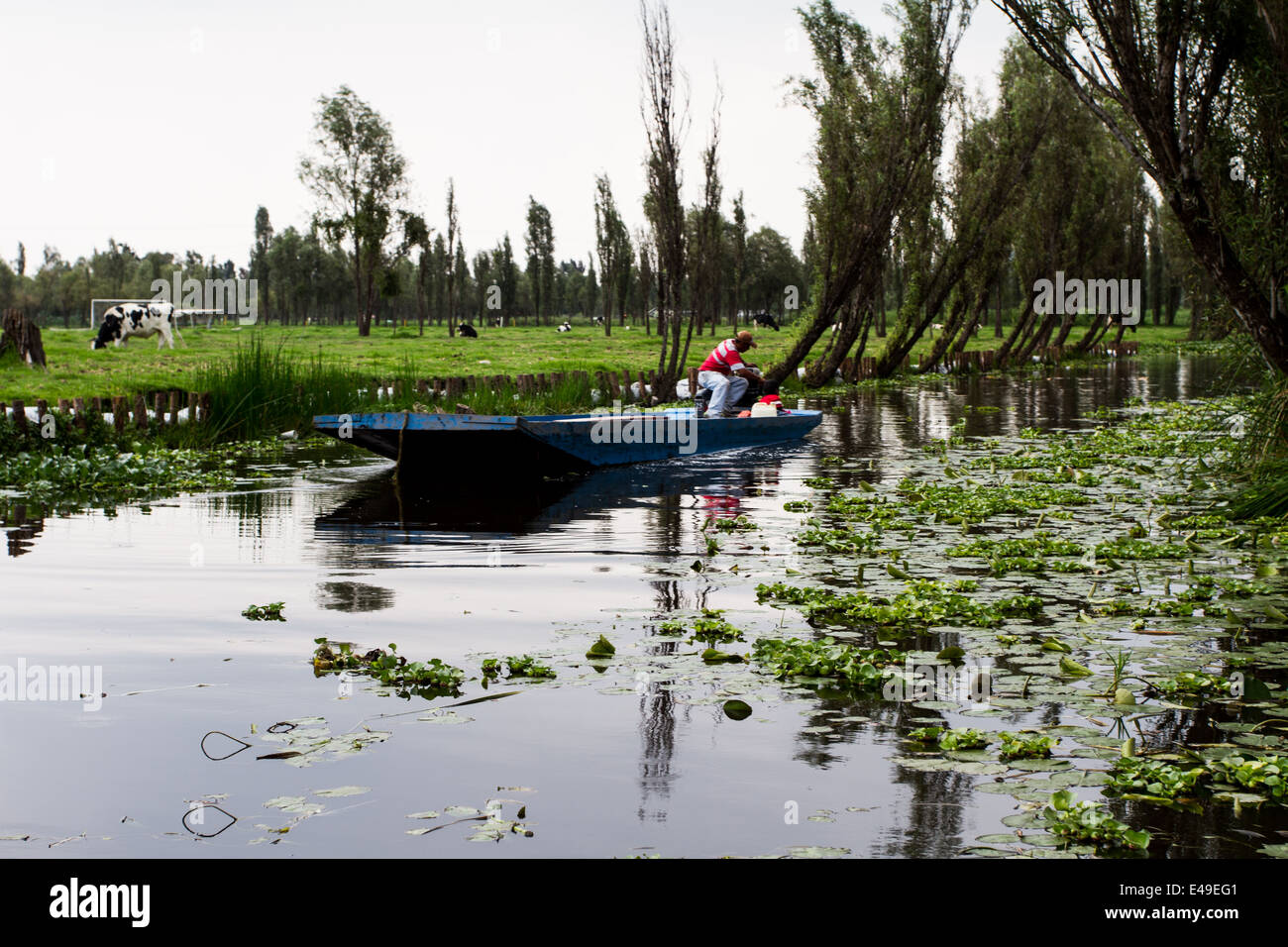 Lake xochimilco mexico hi-res stock photography and images - Alamy