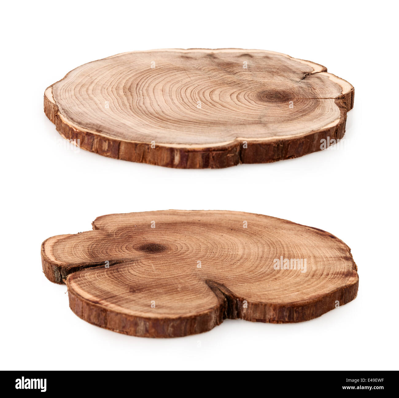 Top view of a tree stump isolated on white background Stock Photo - Alamy