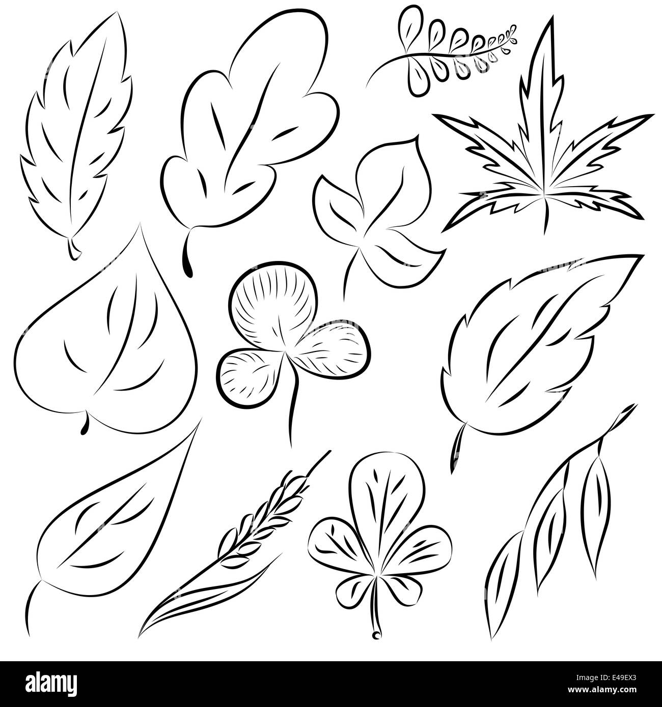 Set of leaves, collection of hand-drawn leaves. Rasterized Copy Stock ...
