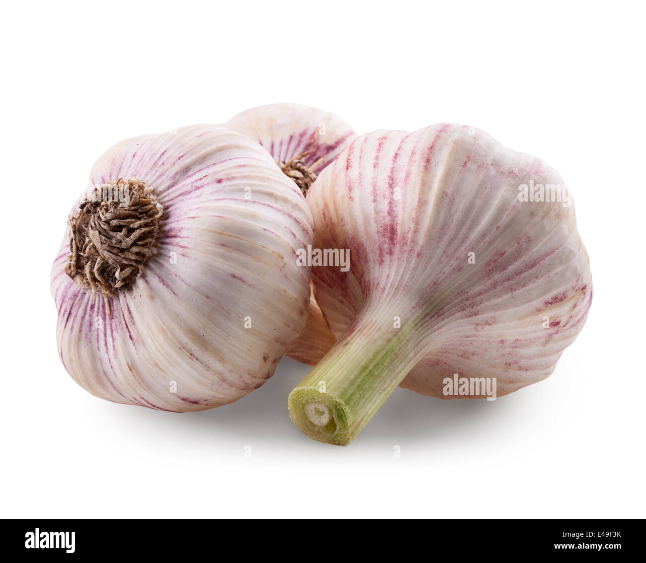 garlic bulb isolated on white background cutout Stock Photo - Alamy
