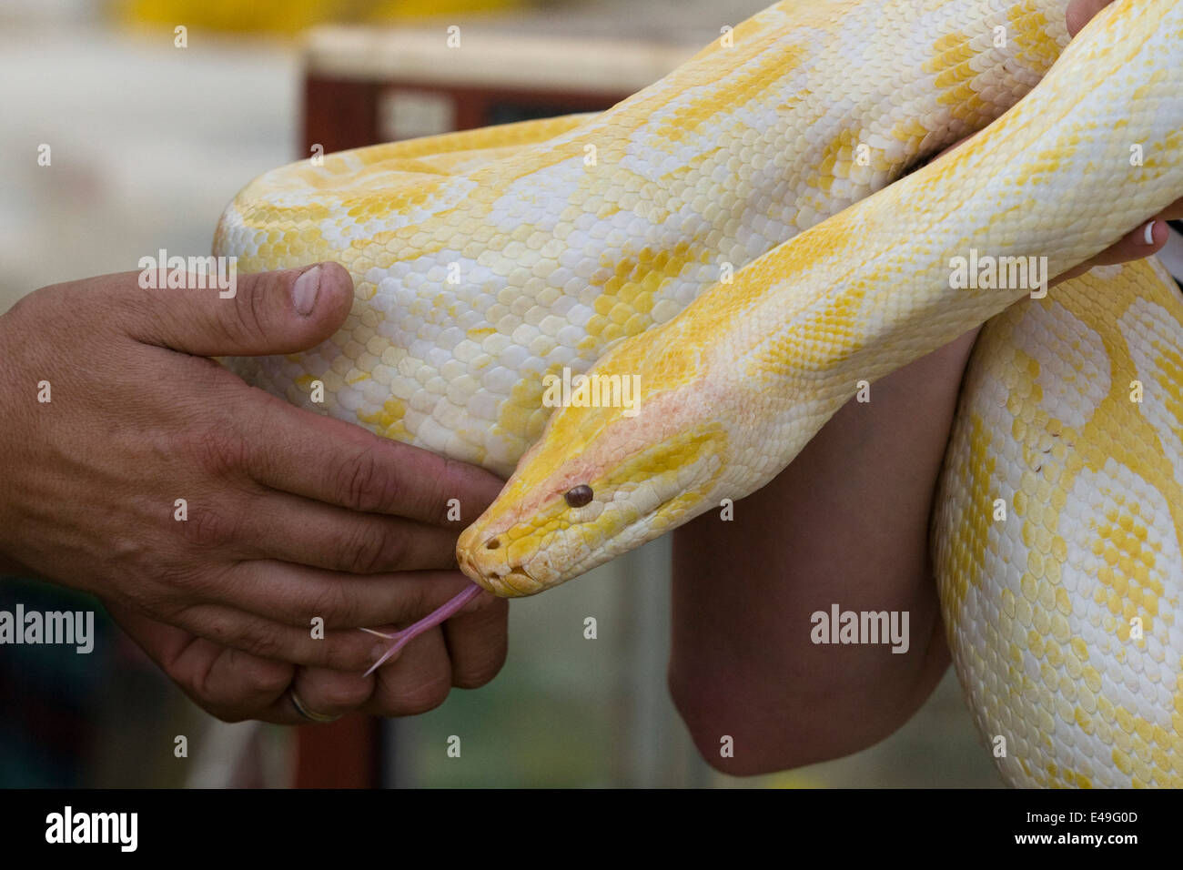 Albino boy hi-res stock photography and images - Alamy