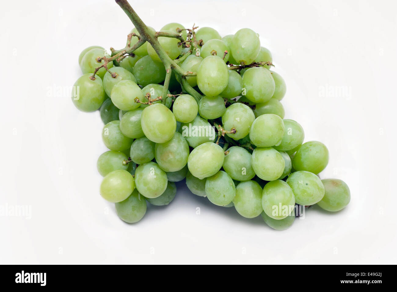 Green seedless grapes against a white background Stock Photo - Alamy