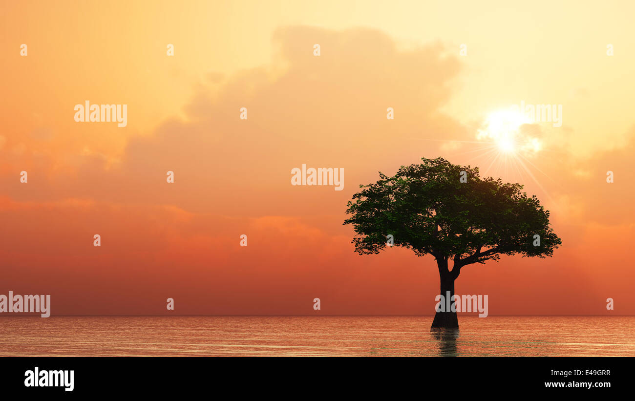 Tree growing from water Stock Photo - Alamy