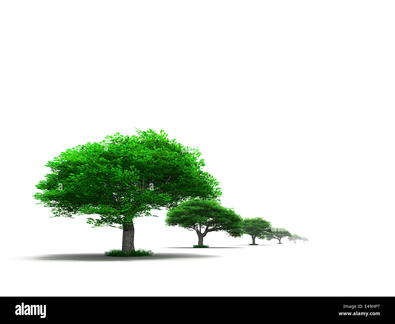 Trees row beauty landscape Cut Out Stock Images & Pictures - Alamy