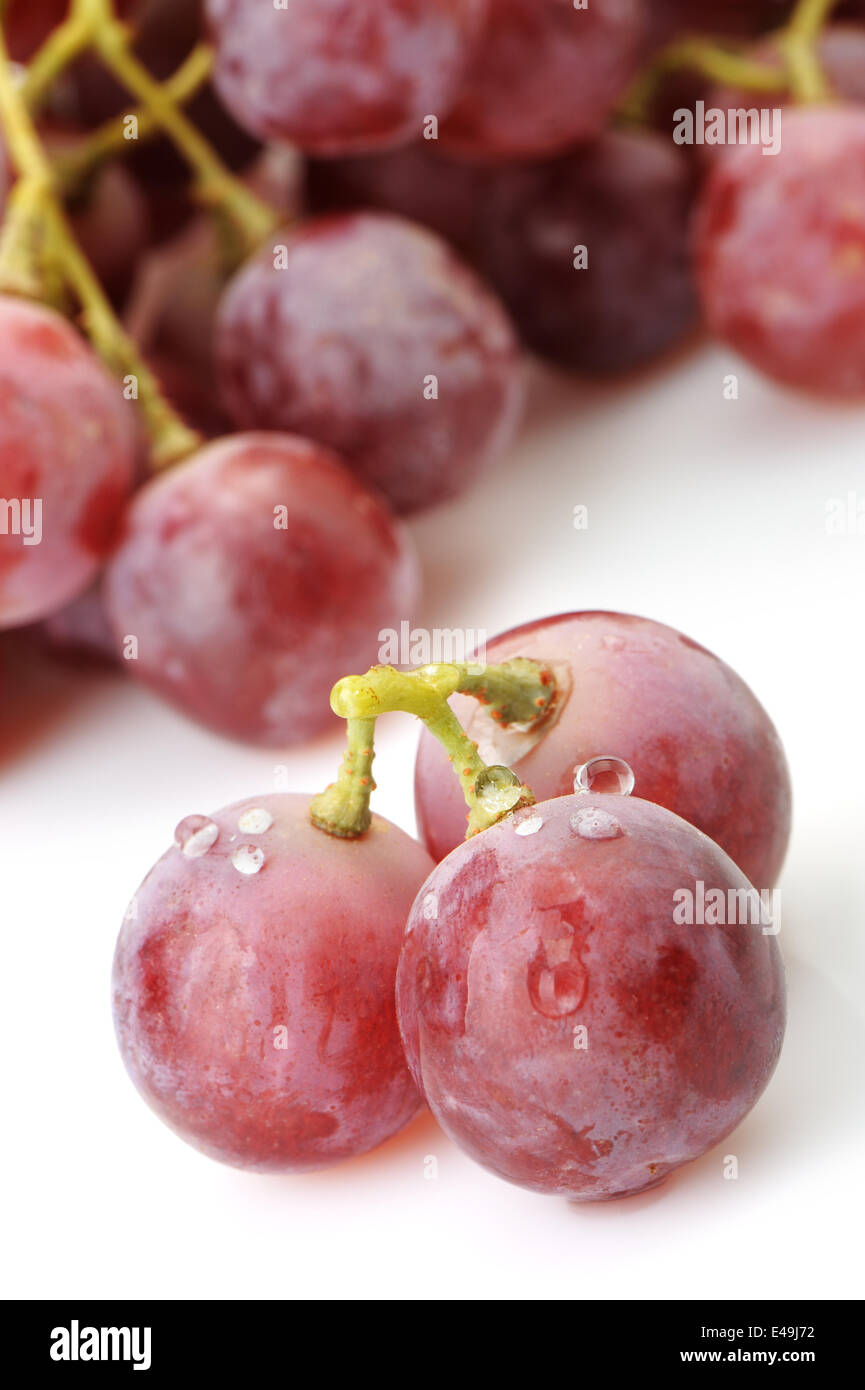 Macro photo white grapes hi-res stock photography and images - Alamy