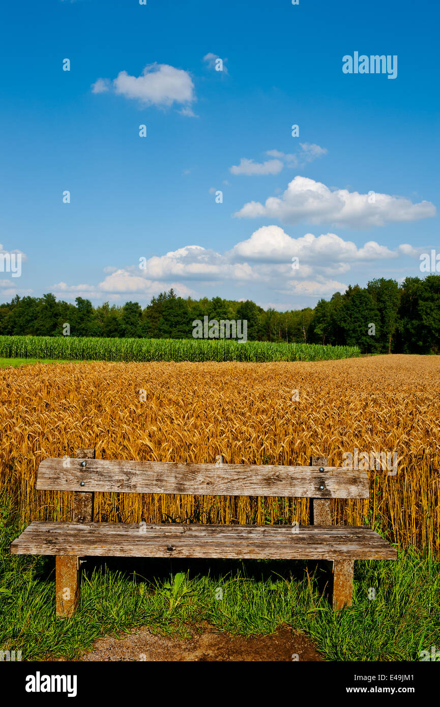 Grass green farmland bench hi-res stock photography and images - Alamy
