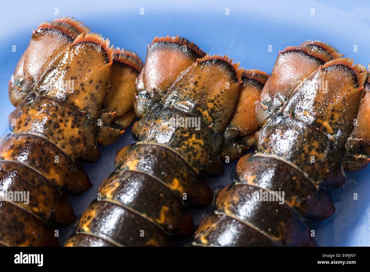 Fresh raw lobster tails Stock Photo - Alamy