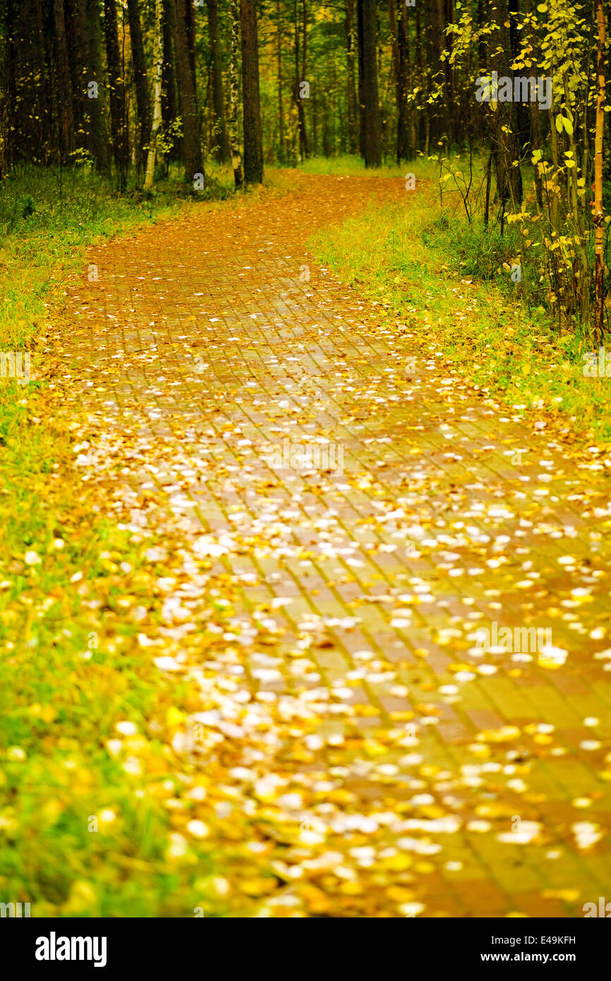 Yellow lane hi-res stock photography and images - Alamy