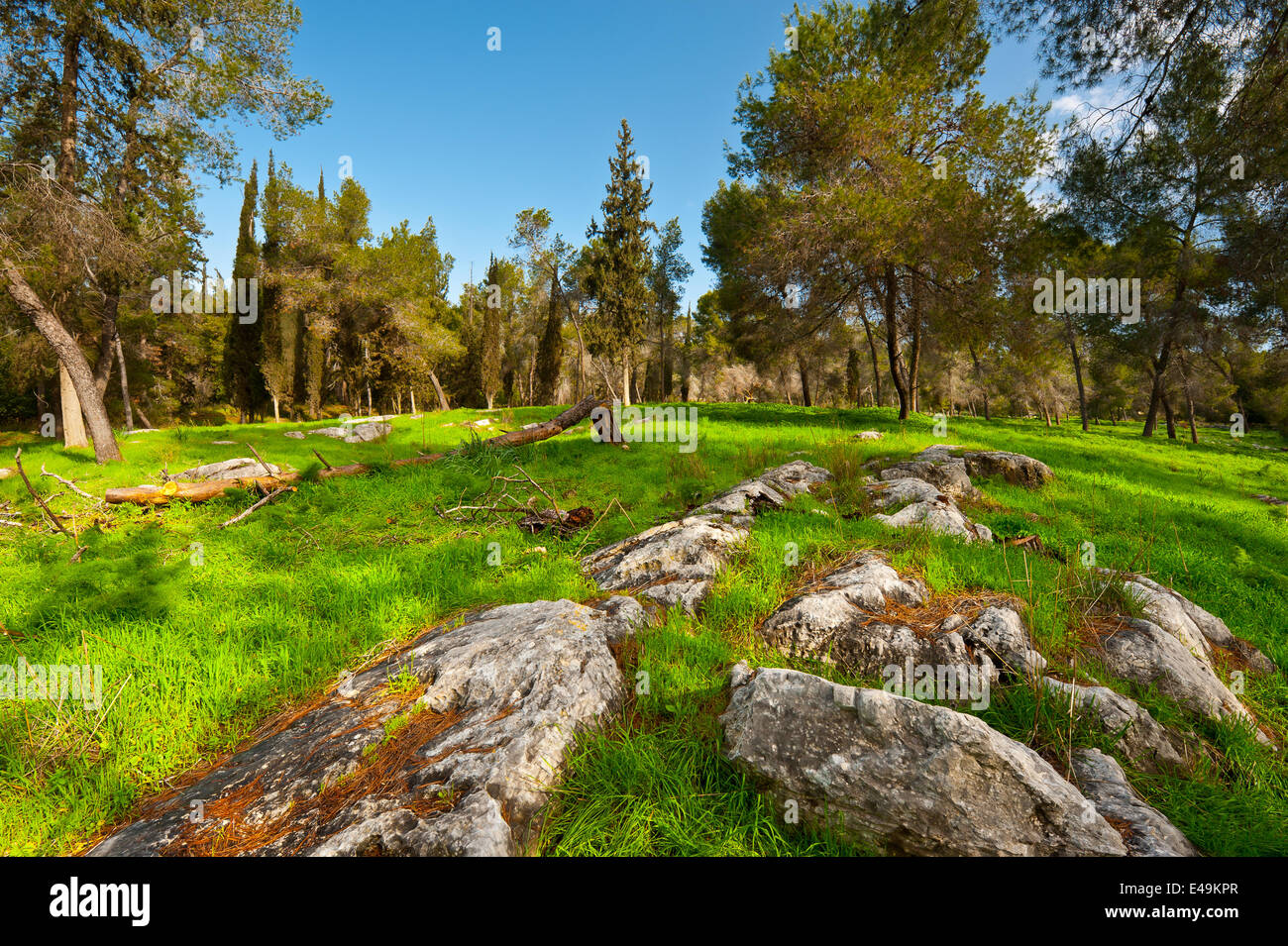 Forest clearing in asia hi-res stock photography and images - Alamy
