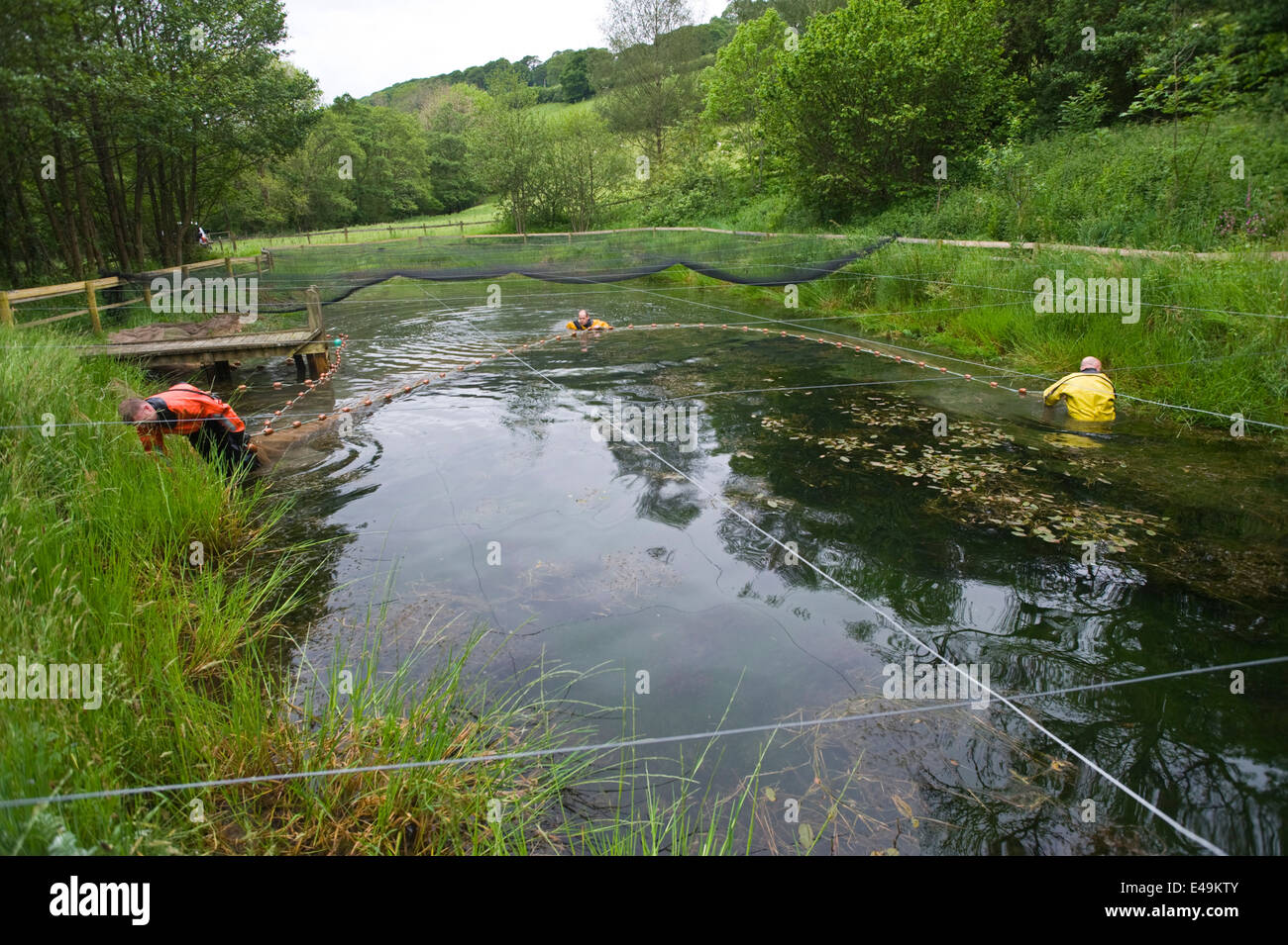 Salmon Rearing Habitat at Tristan Meehan blog