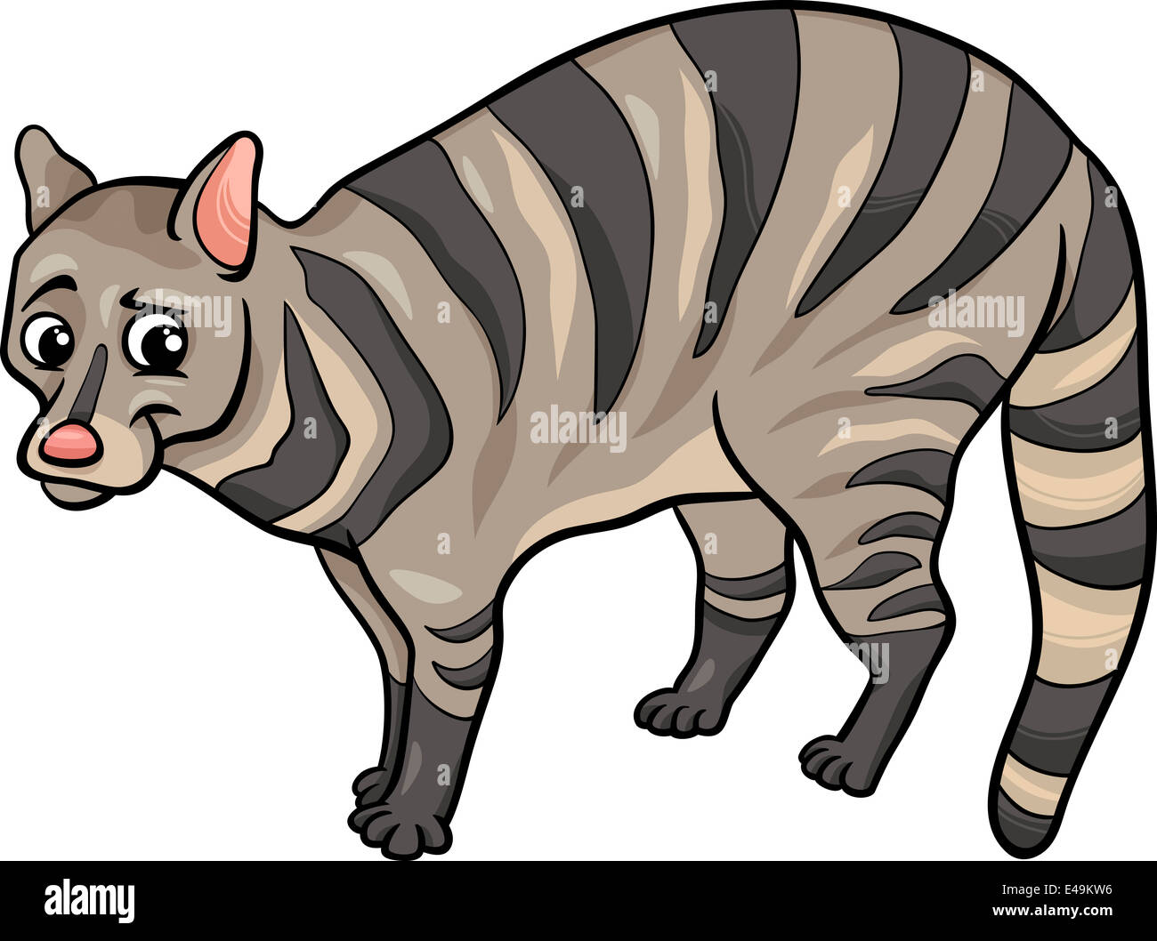 Cartoon Illustration of Cute Civet Wild Animal Stock Photo - Alamy