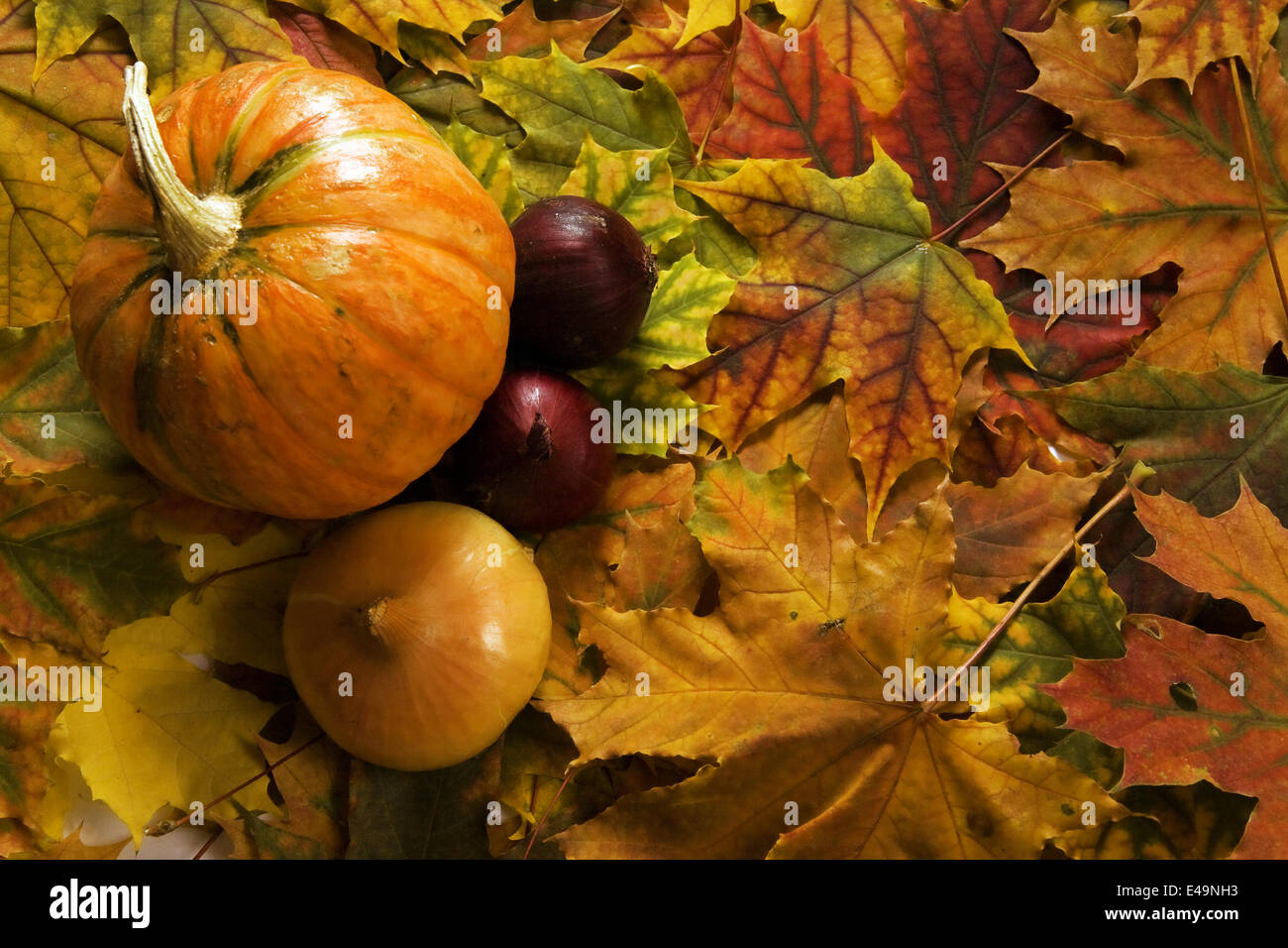 Many colored leaves hi-res stock photography and images - Alamy