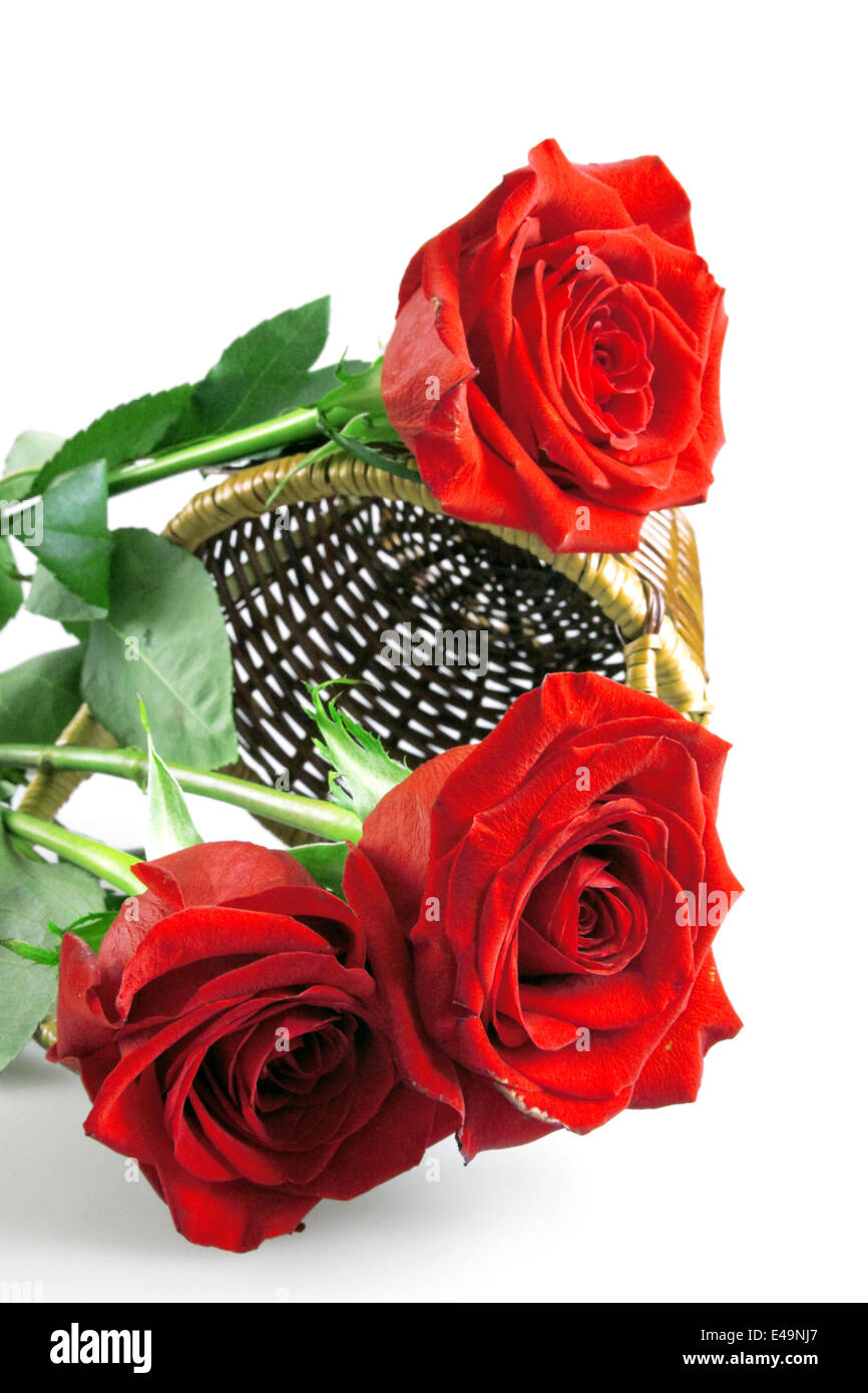 Bunch of fresh roses Stock Photo - Alamy