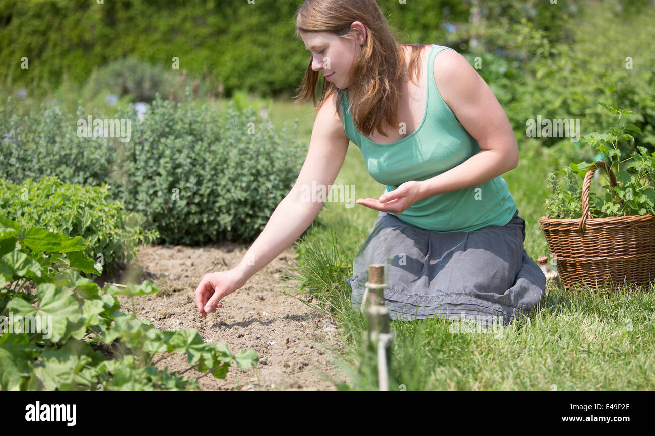 Young woman sowing in garden Stock Photo - Alamy