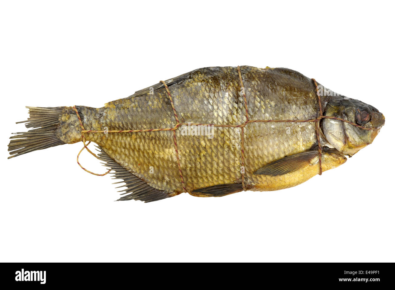 Bream Cut Out Stock Images & Pictures - Alamy