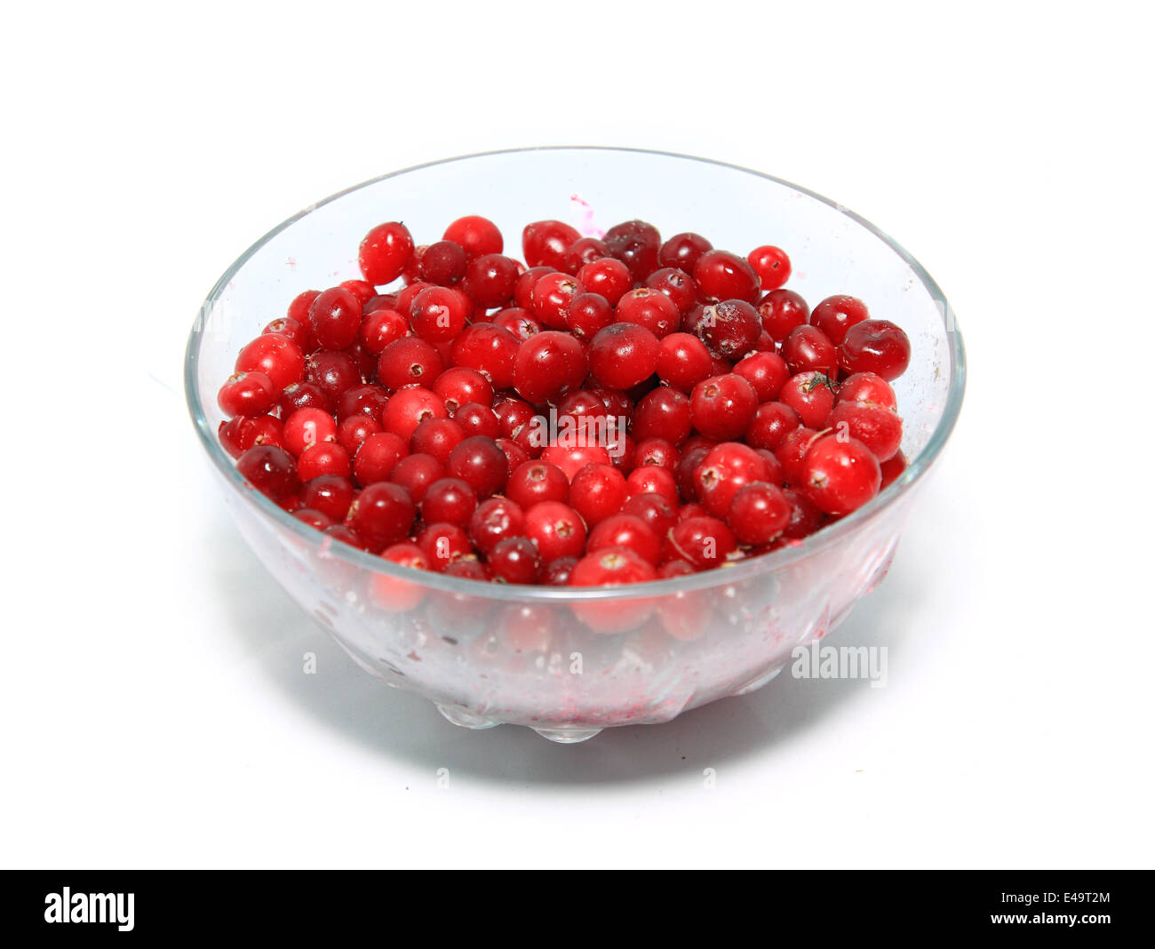 cranberry in plate on white background Stock Photo - Alamy