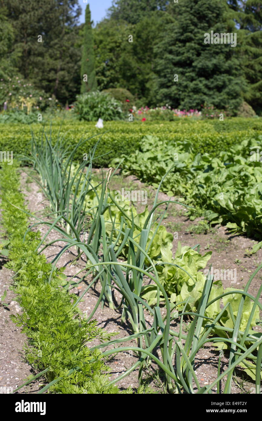 Potager Kitchen Garden High Resolution Stock Photography and Images - Alamy
