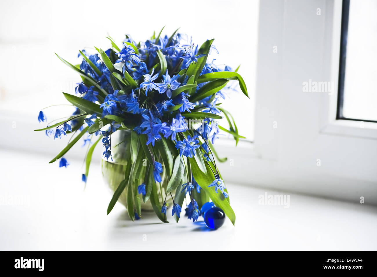 Fresh spring flowers Stock Photo - Alamy