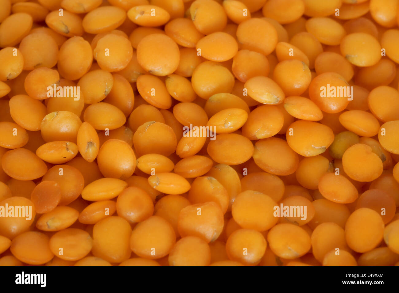 Lentil crop hi-res stock photography and images - Alamy