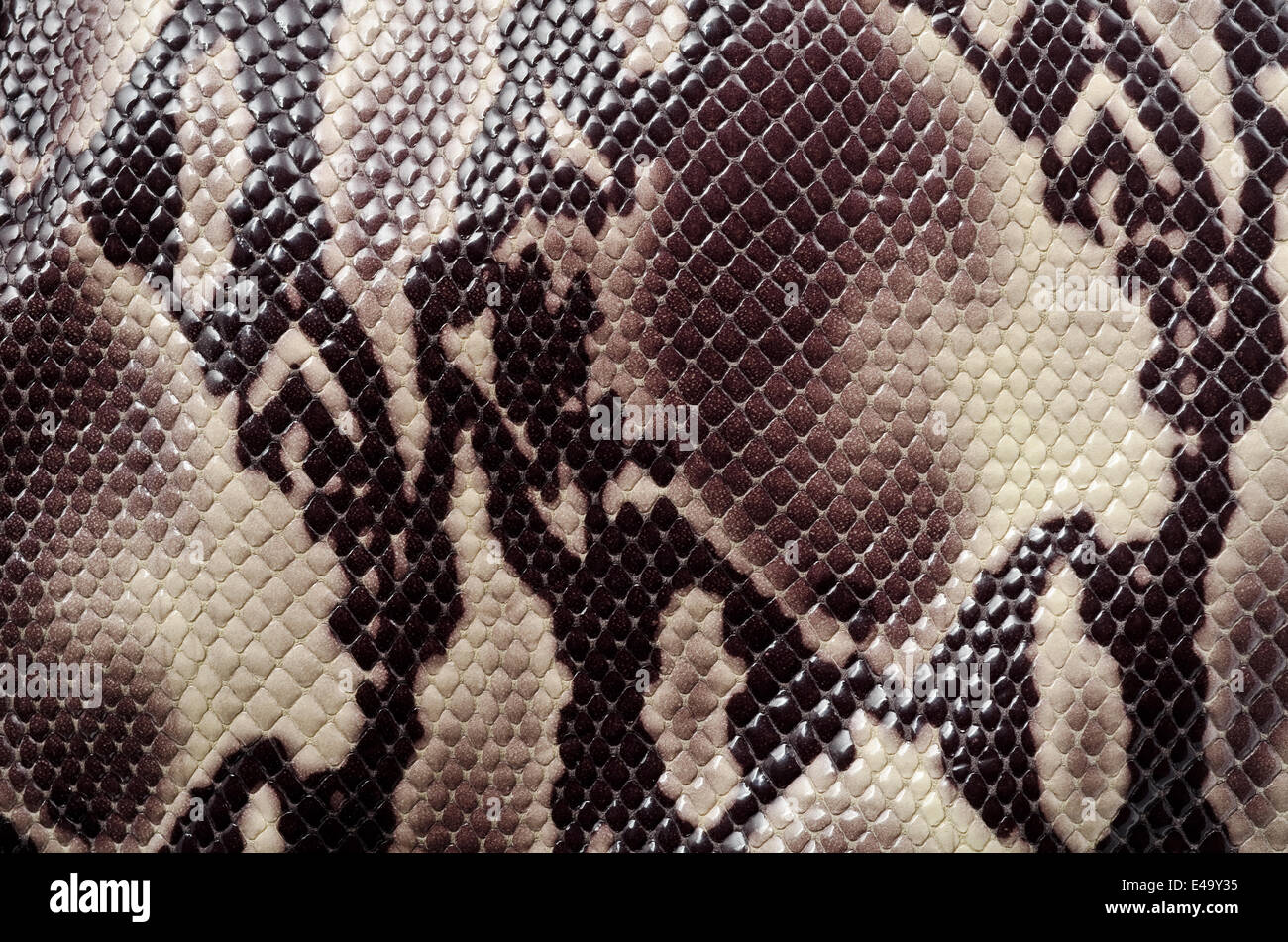 Snake skin hi-res stock photography and images - Alamy