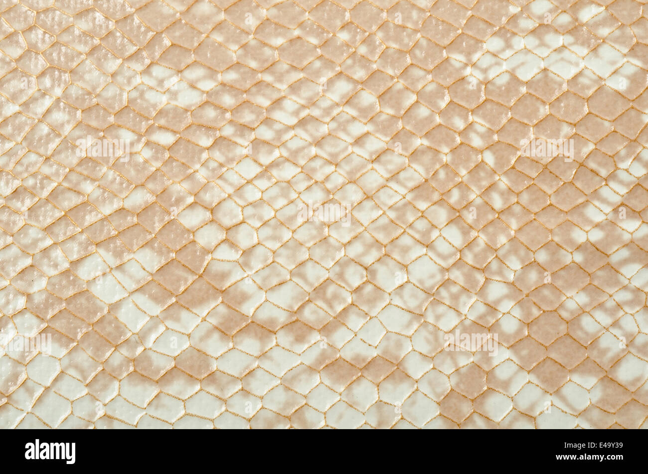 Snake design hi-res stock photography and images - Alamy