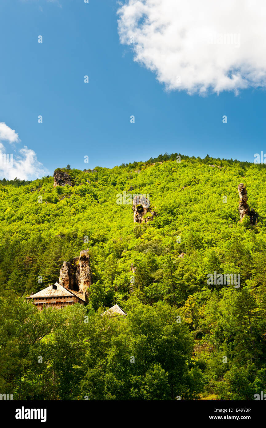 Castle in the Alps Stock Photo - Alamy