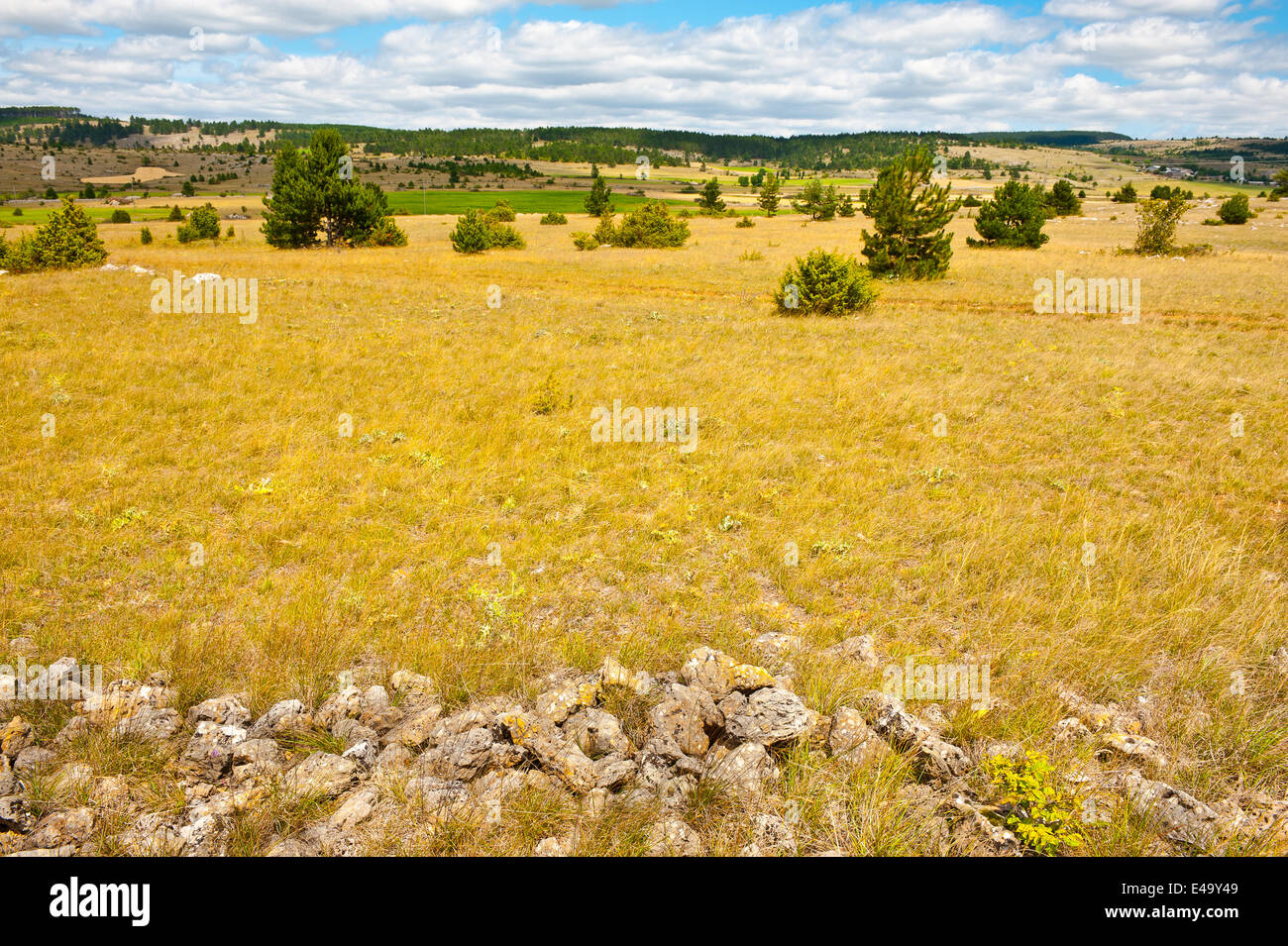 High country plain hi-res stock photography and images - Alamy