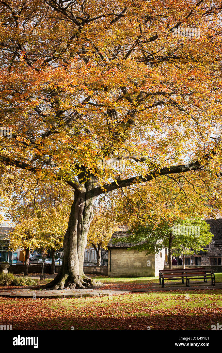Autumn in a small public park in Bradford on Avon UK Stock Photo - Alamy