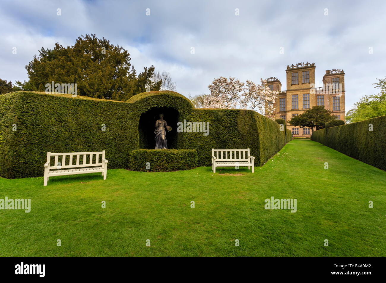 Yew hedge hi-res stock photography and images - Alamy