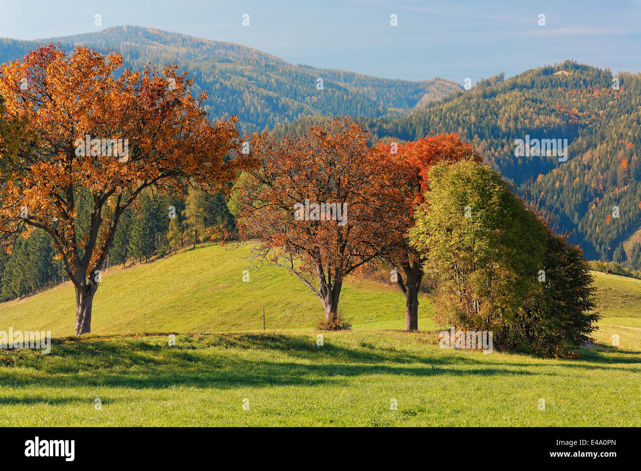 Hartberg hi-res stock photography and images - Alamy