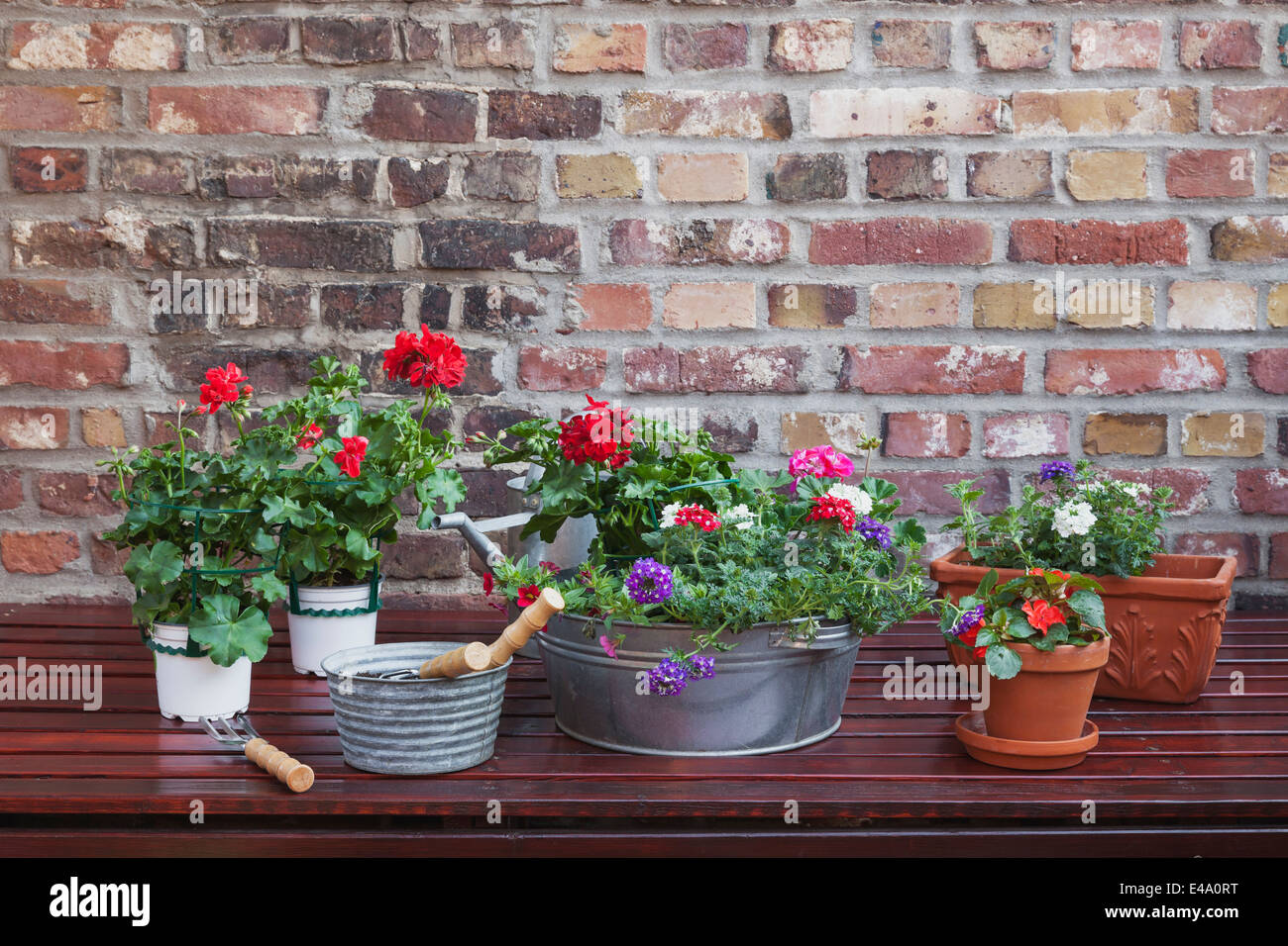 Germany, Plants for the balcony Stock Photo - Alamy