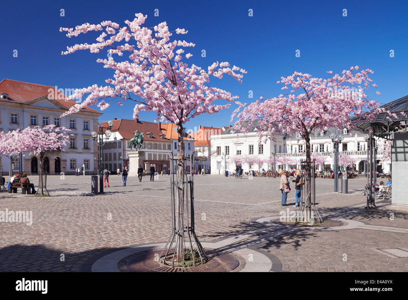 Almond Blossom in the Market Place, Landau, Deutsche Weinstrasse ...